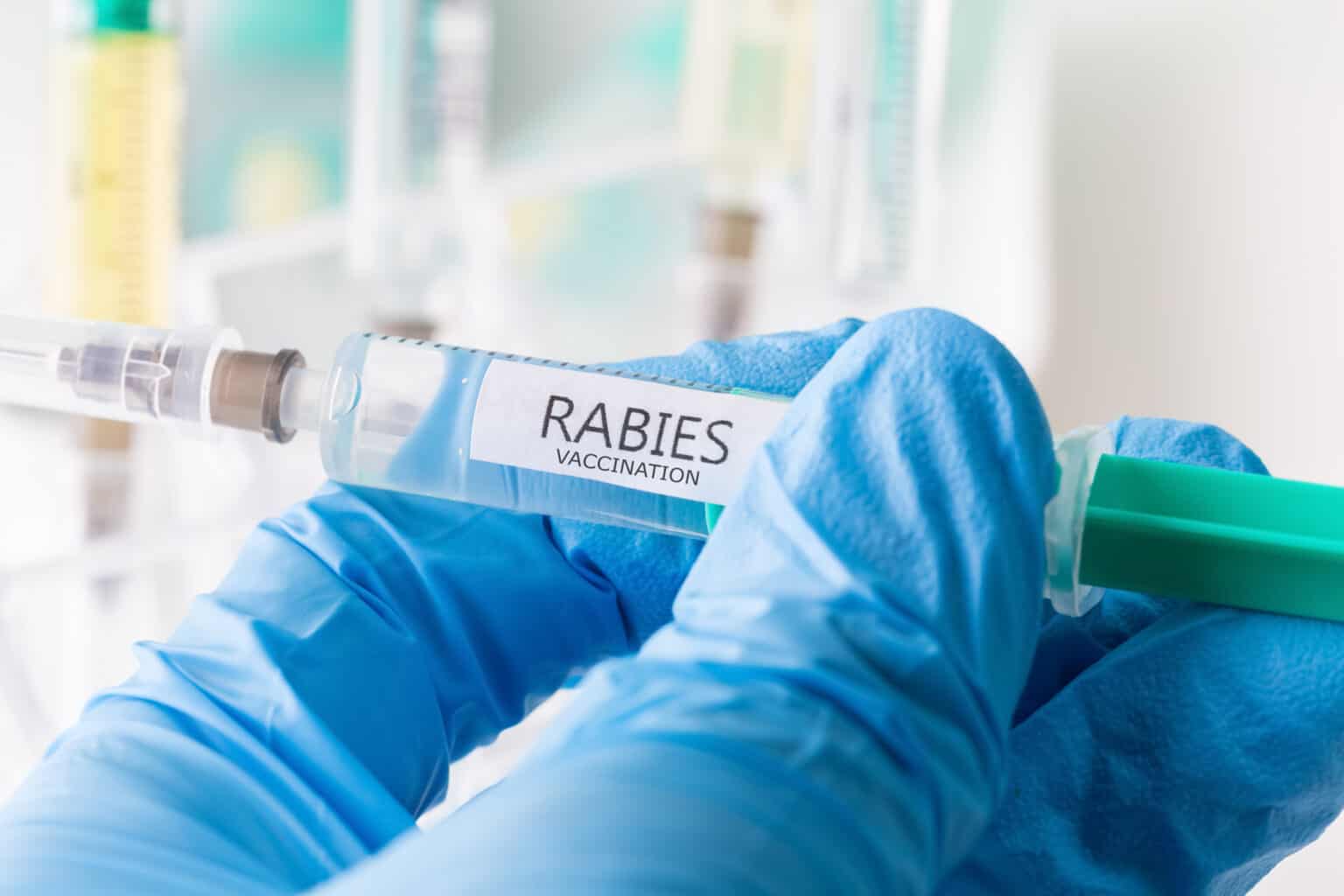 Rabies warning: High-risk areas identified for increased vigilance ...