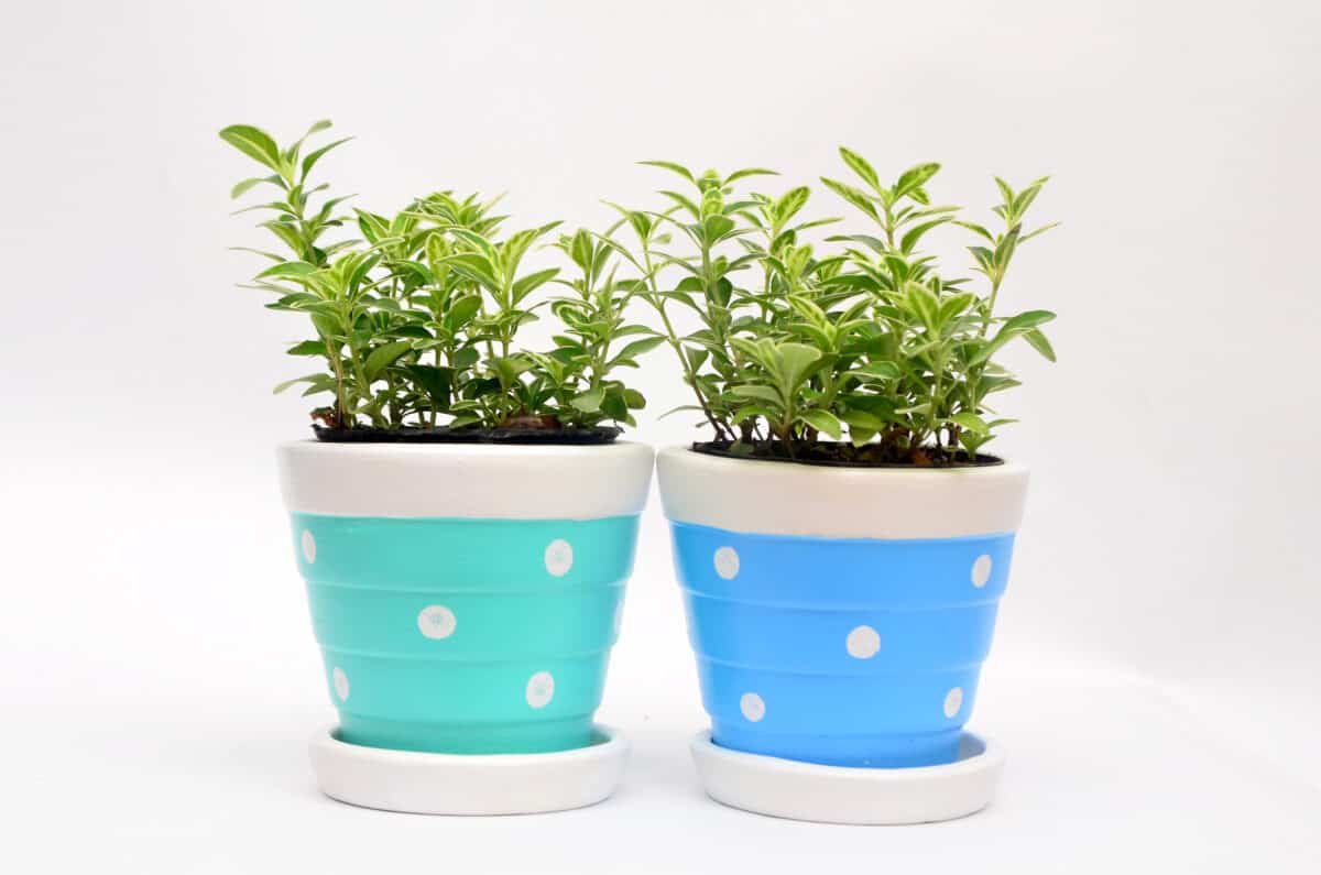 Two-pot retirement system to start on 1 September 2024 | The Citizen