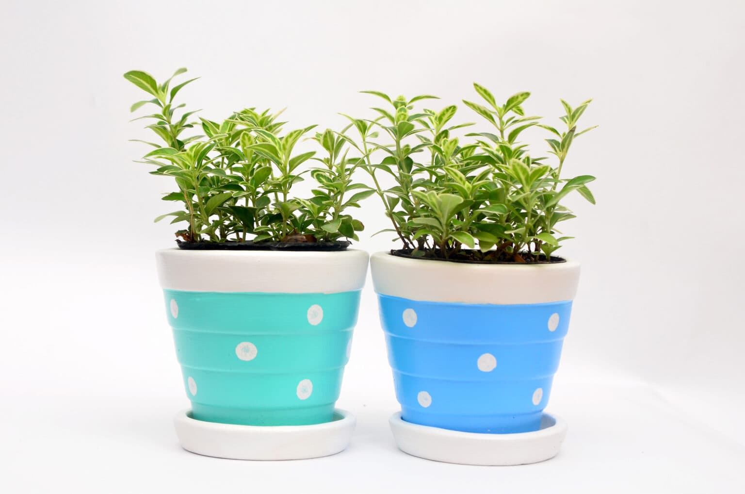 Two-pot retirement system to start on 1 September 2024 | The Citizen