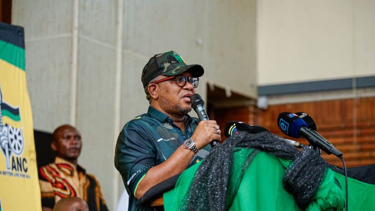 Mbalula's admission ANC lied about Zuma's Nkandla fire pool 'an insult ...