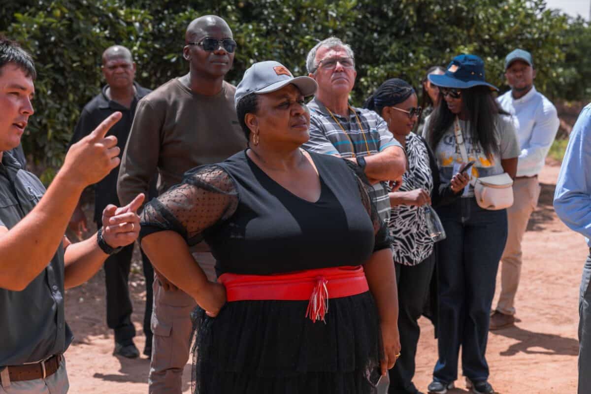'Look at the money you get out of it'- Thoko Didiza wants youth to get ...