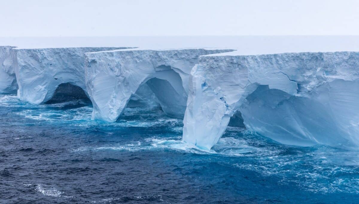 Nature's magnificence unveiled, world's largest iceberg emerges after ...