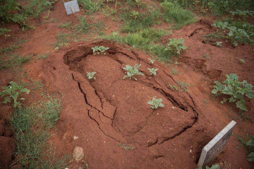 WATCH: Heavy rains lead to graves and tombstones collapsing in Joburg ...