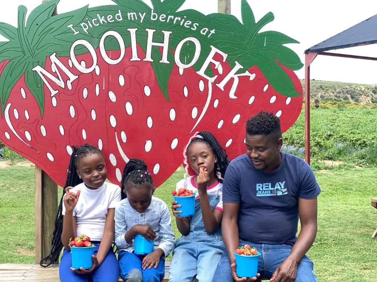 A sweet farewell to the festive season: Strawberry picking at Mooihoek ...