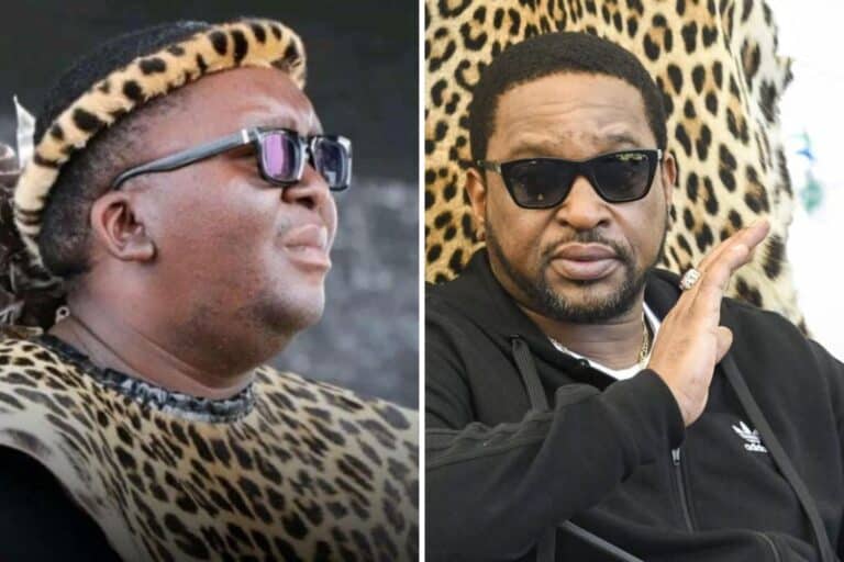 Thulasizwe Buthelezi: Who is the Zulu nation's new prime minister ...