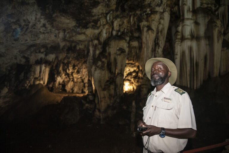 Bothongo WonderCave: A historic reopening beckons adventure seekers ...
