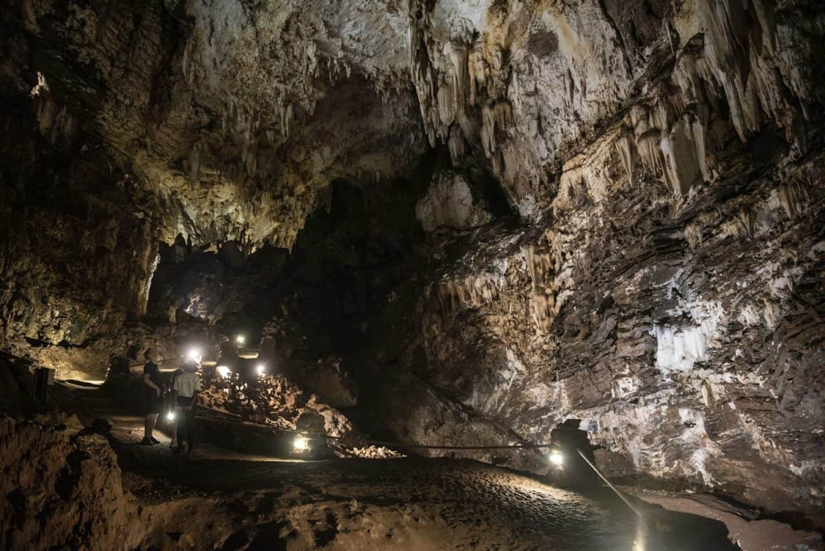 Bothongo WonderCave: A historic reopening beckons adventure seekers ...