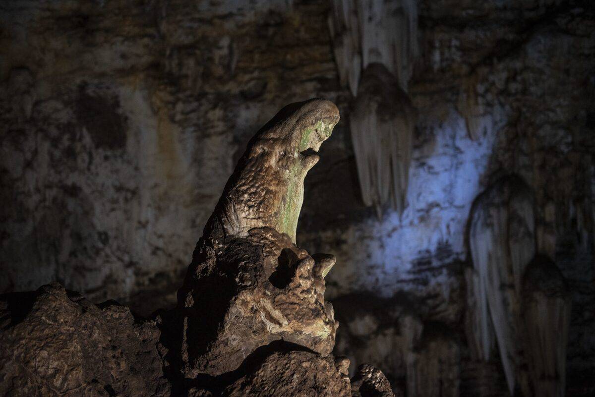 Bothongo WonderCave: A historic reopening beckons adventure seekers ...