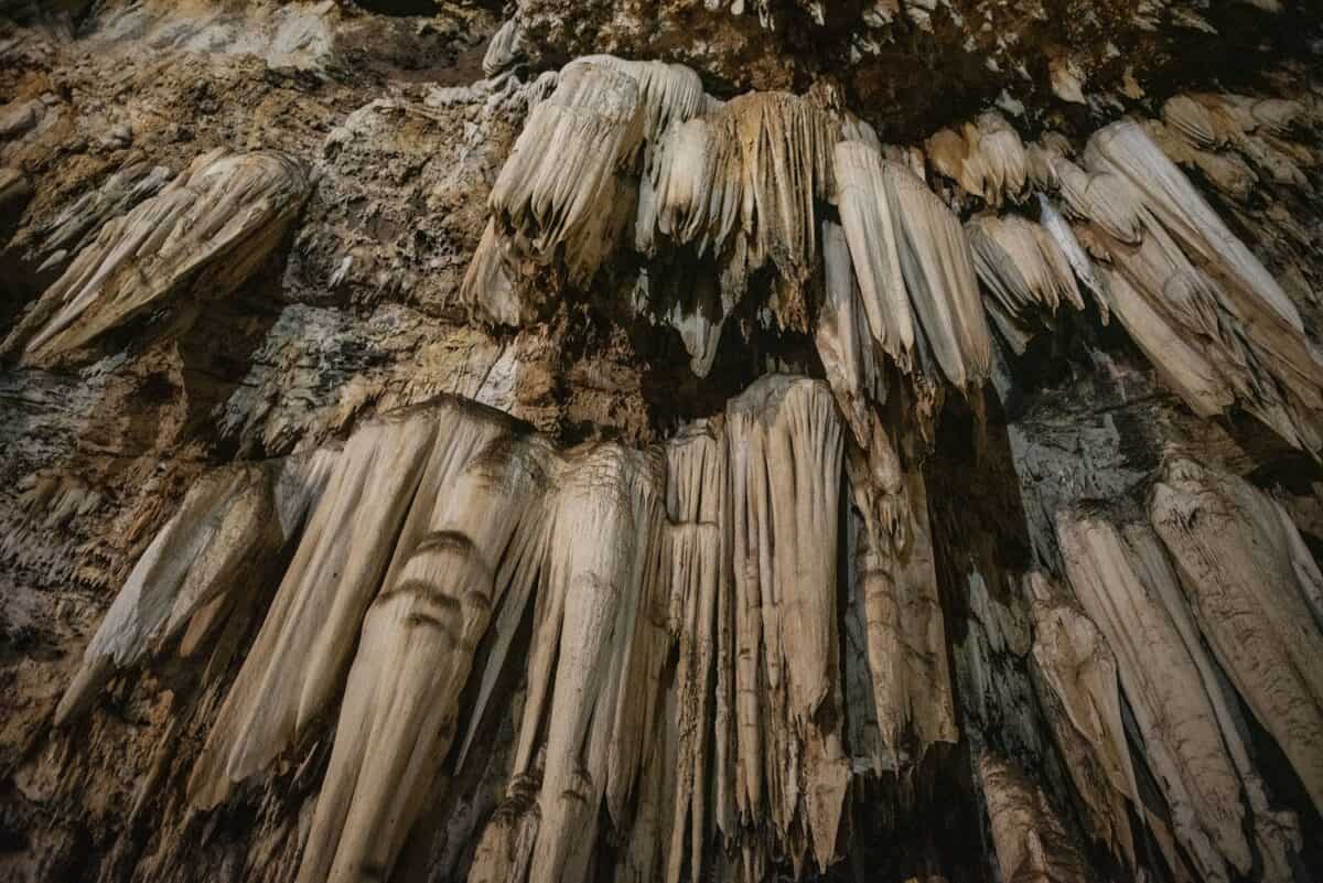 Bothongo is an adventure that leaves your legs like jelly | The Citizen