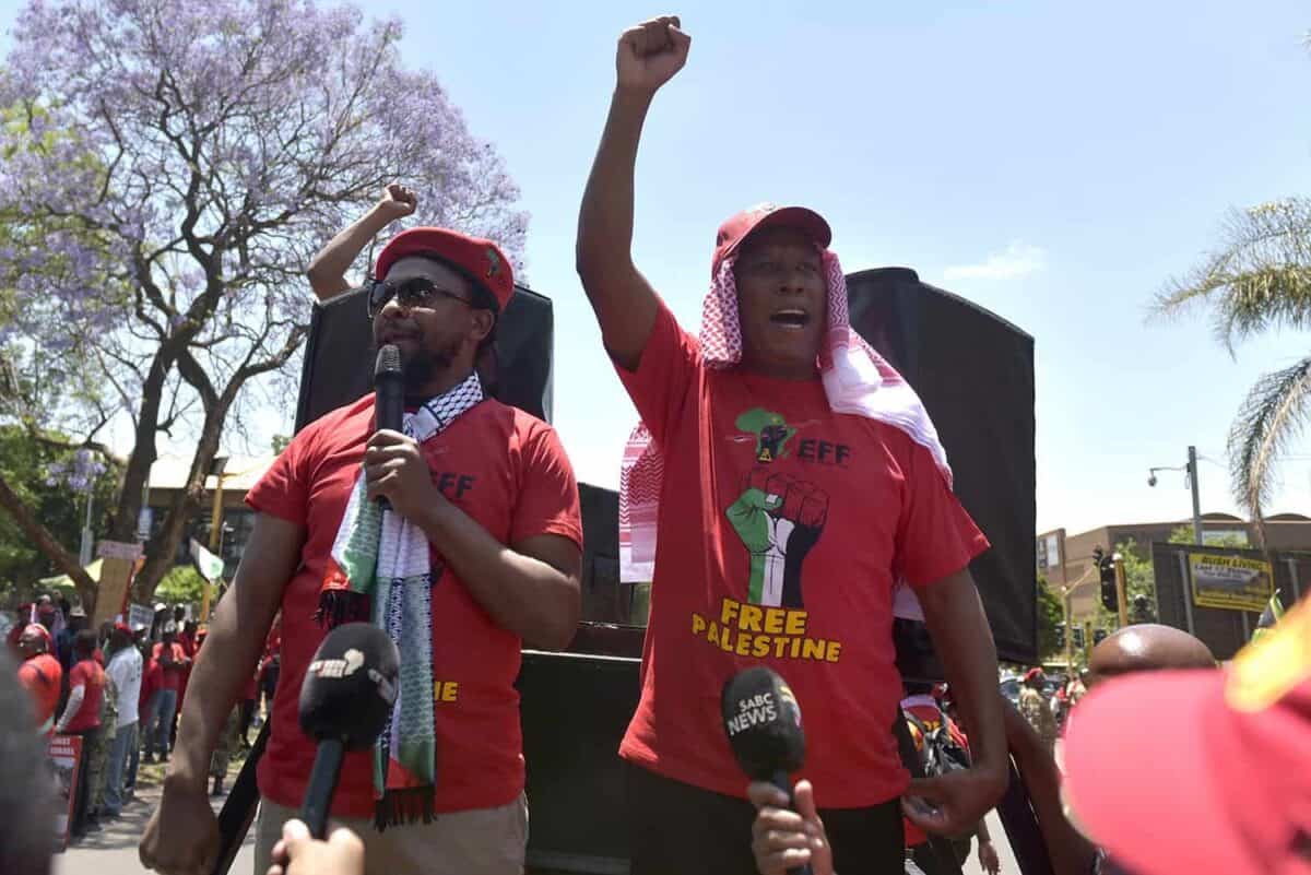 Ipsos poll shows EFF could overtake DA as official opposition | The Citizen
