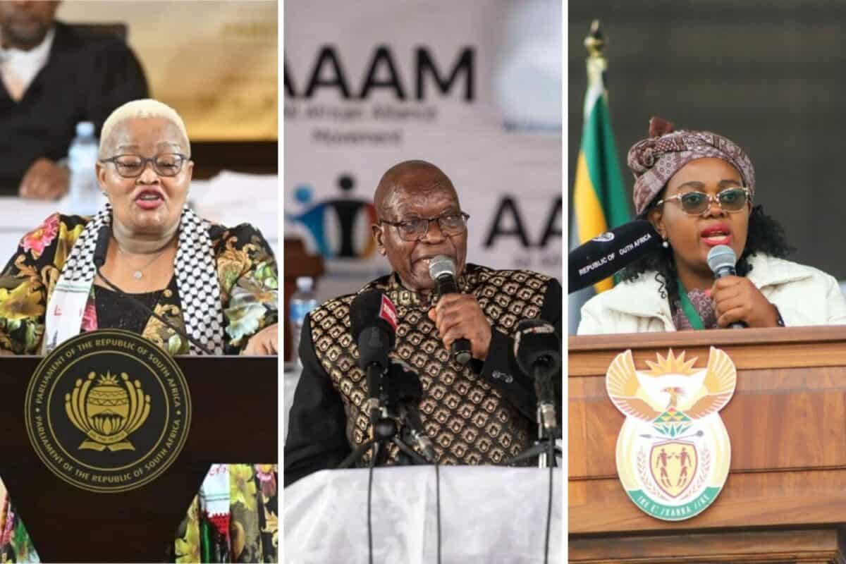 Analyst likens politicians to reptiles: 'MK, PA, EFF and DA are all the ...