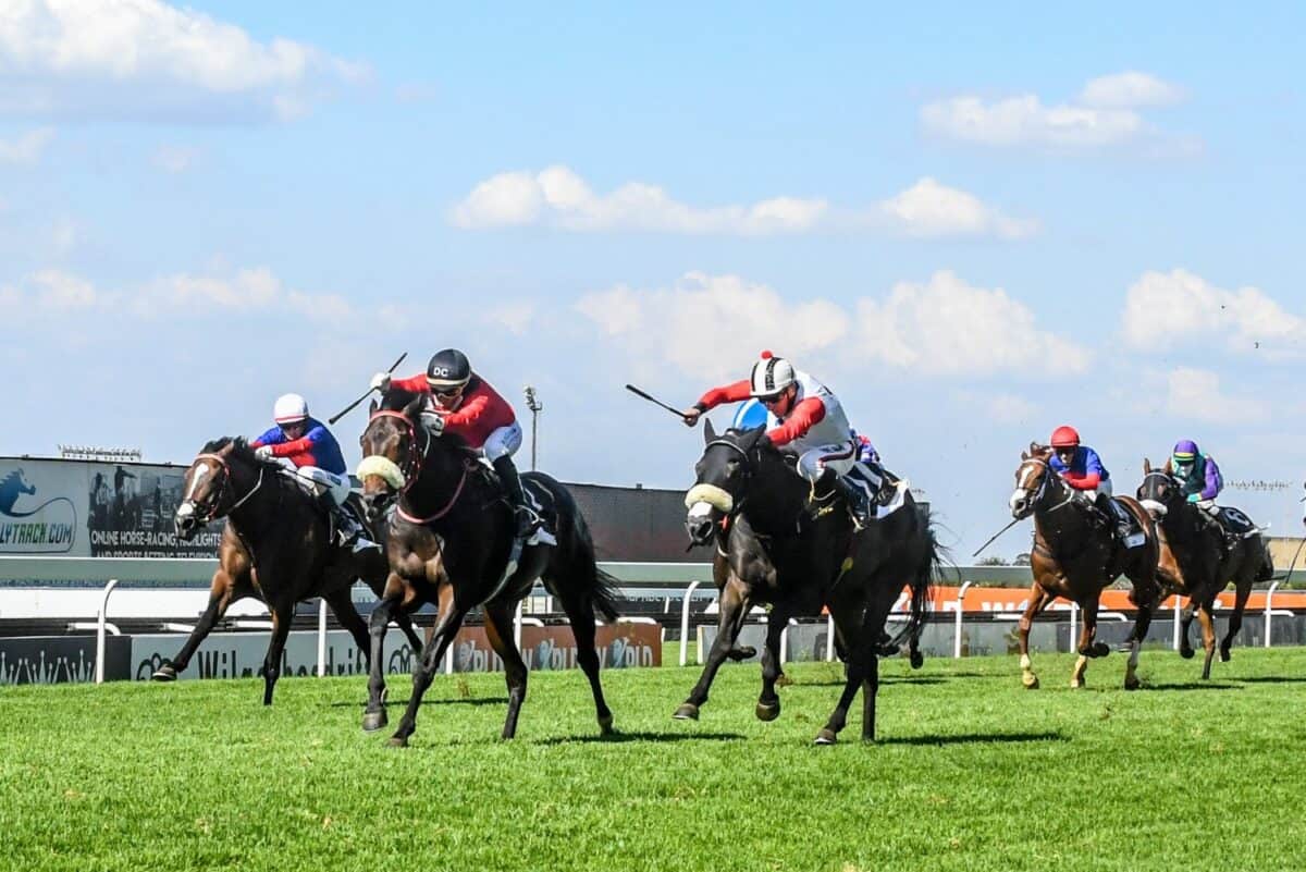 Gimma A Nother roll of the Dyce at Turffontein | The Citizen
