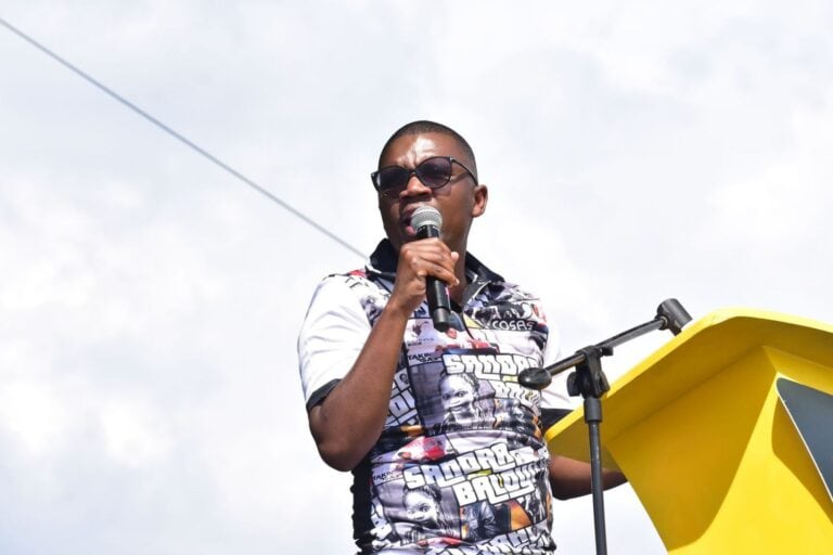 'We gave a grade 2 dropout a country to lead for 10 years': ANCYL ...