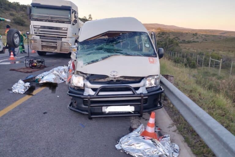 Five including two children killed after taxi slams into truck on N2