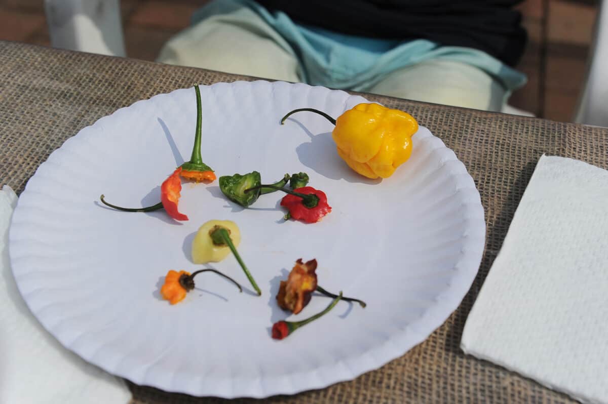 IN PICTURES: Contestants feel the heat in chilli pod eating contest ...