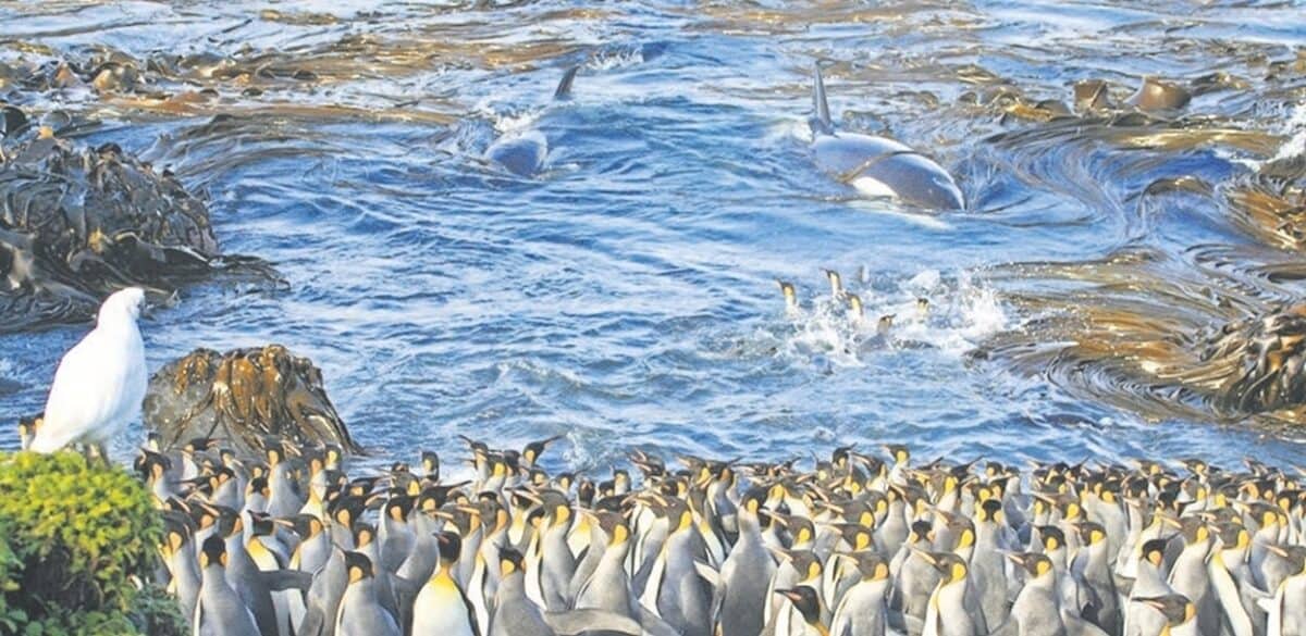 Research island: Marion tells her secrets | The Citizen