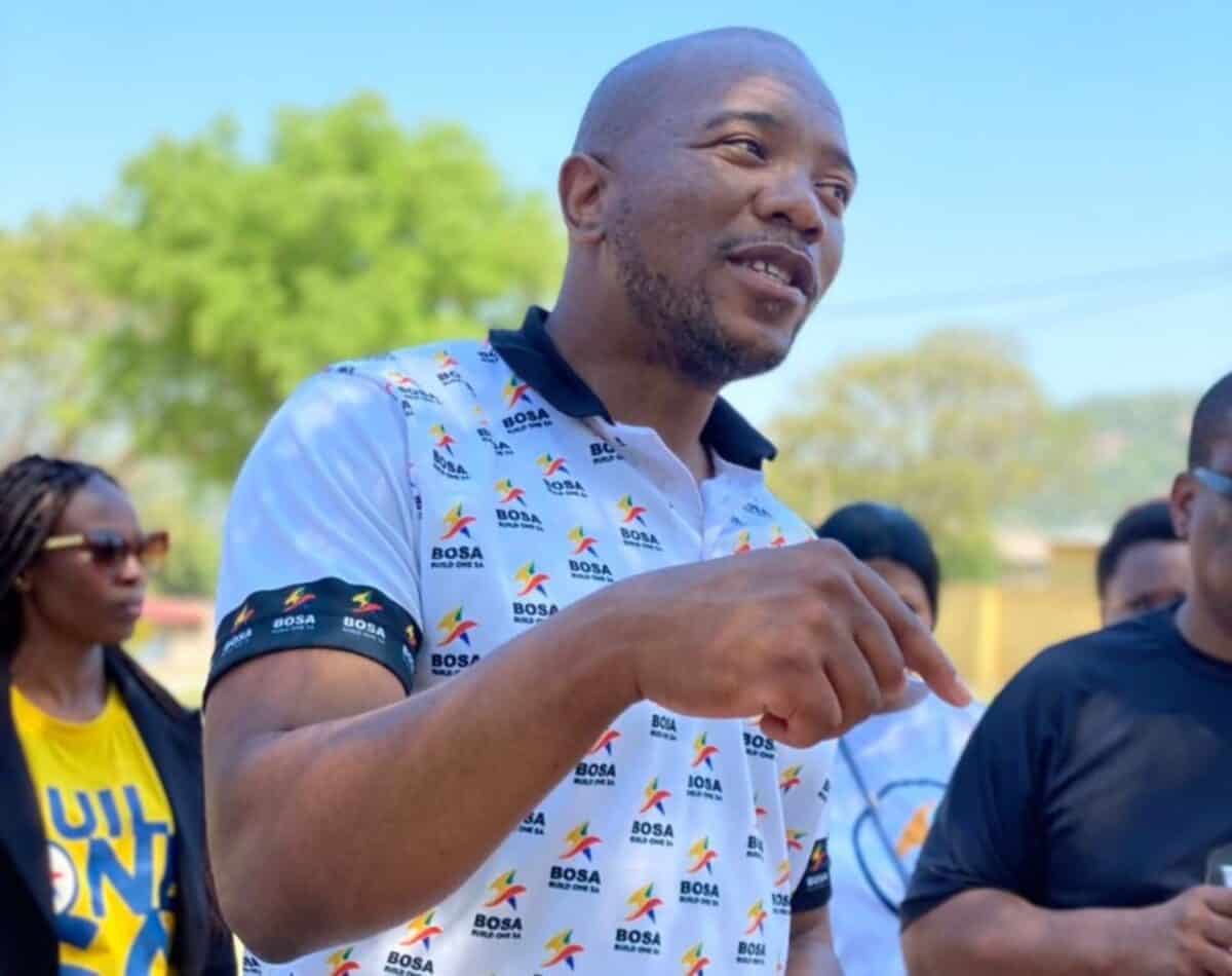 Elections 2024: ‘Maimane has a clean track record,’ says supporter ...