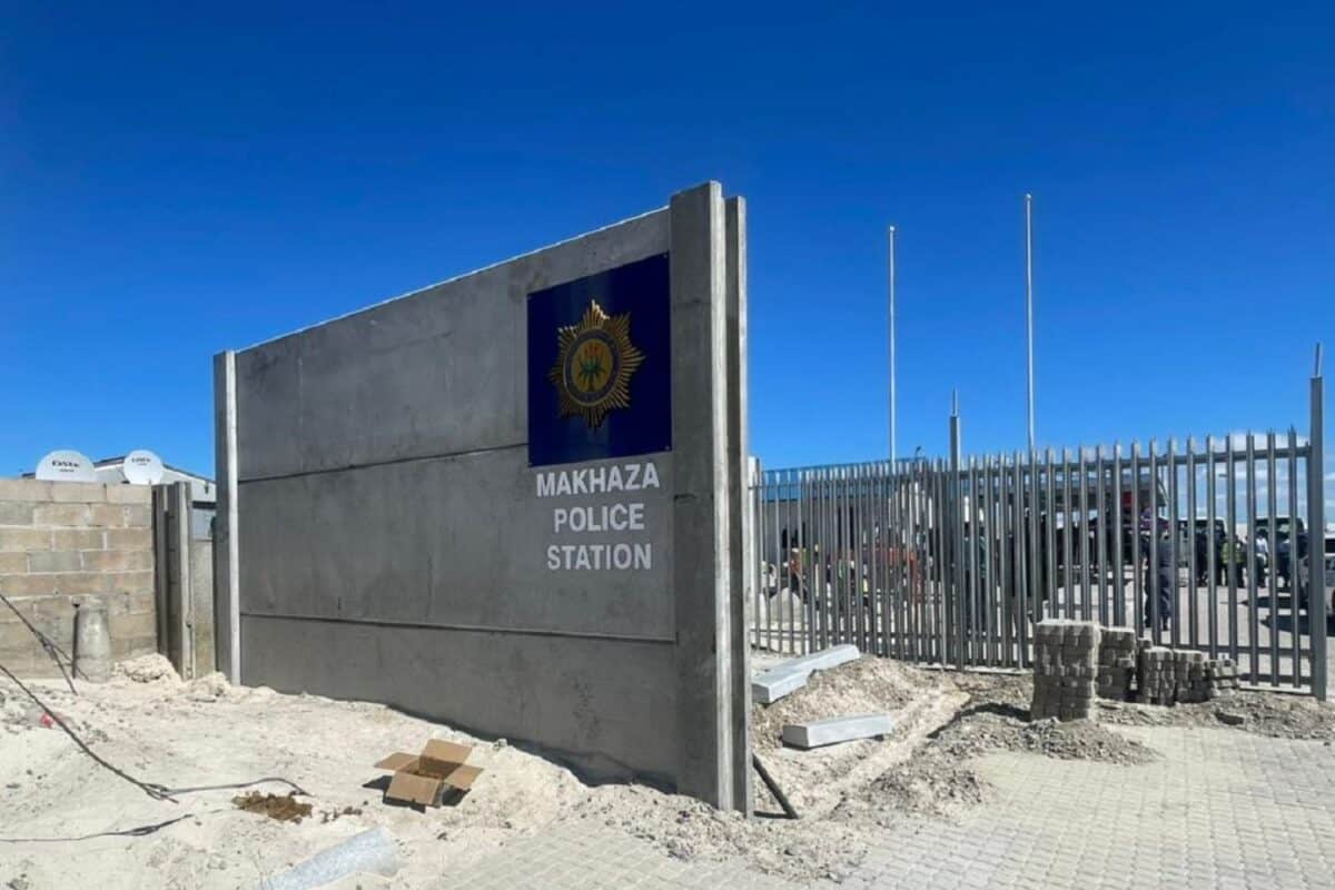 ‘Sometimes govt has unnecessary, unexplained delays’: Cele praises ...