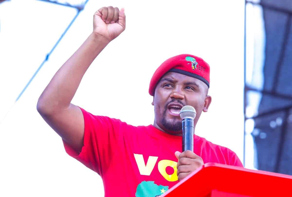 'Nothing below 50%': EFF guns for Gauteng | The Citizen