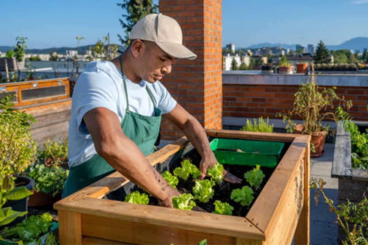 Watch How To Make A Planter Box For Vegetables Or Flowers