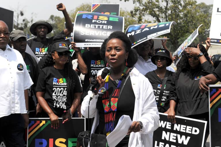 'Enjoy your last 89 days' – Rise Mzansi to Lesufi as they picket outside Eskom | The Citizen