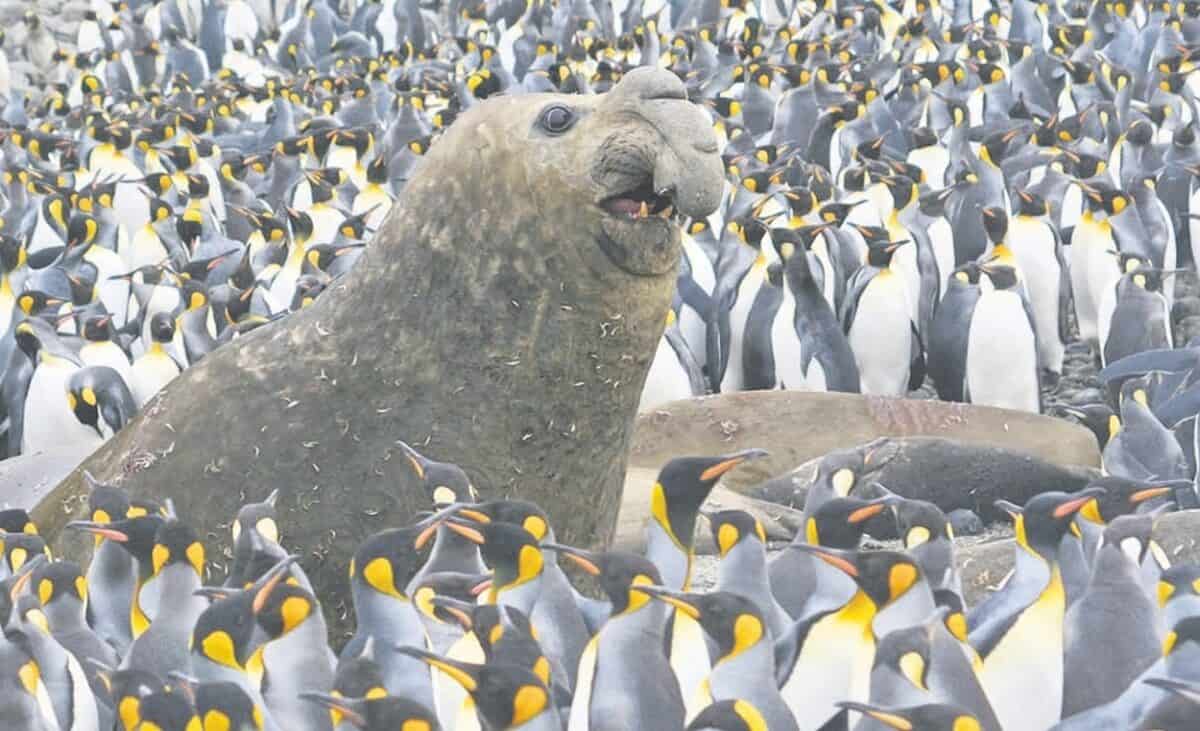 Research island: Marion tells her secrets | The Citizen