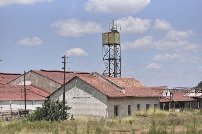 Too late to save 'citrus jewel' Zebediela estate | The Citizen
