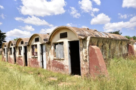Too late to save 'citrus jewel' Zebediela estate | The Citizen