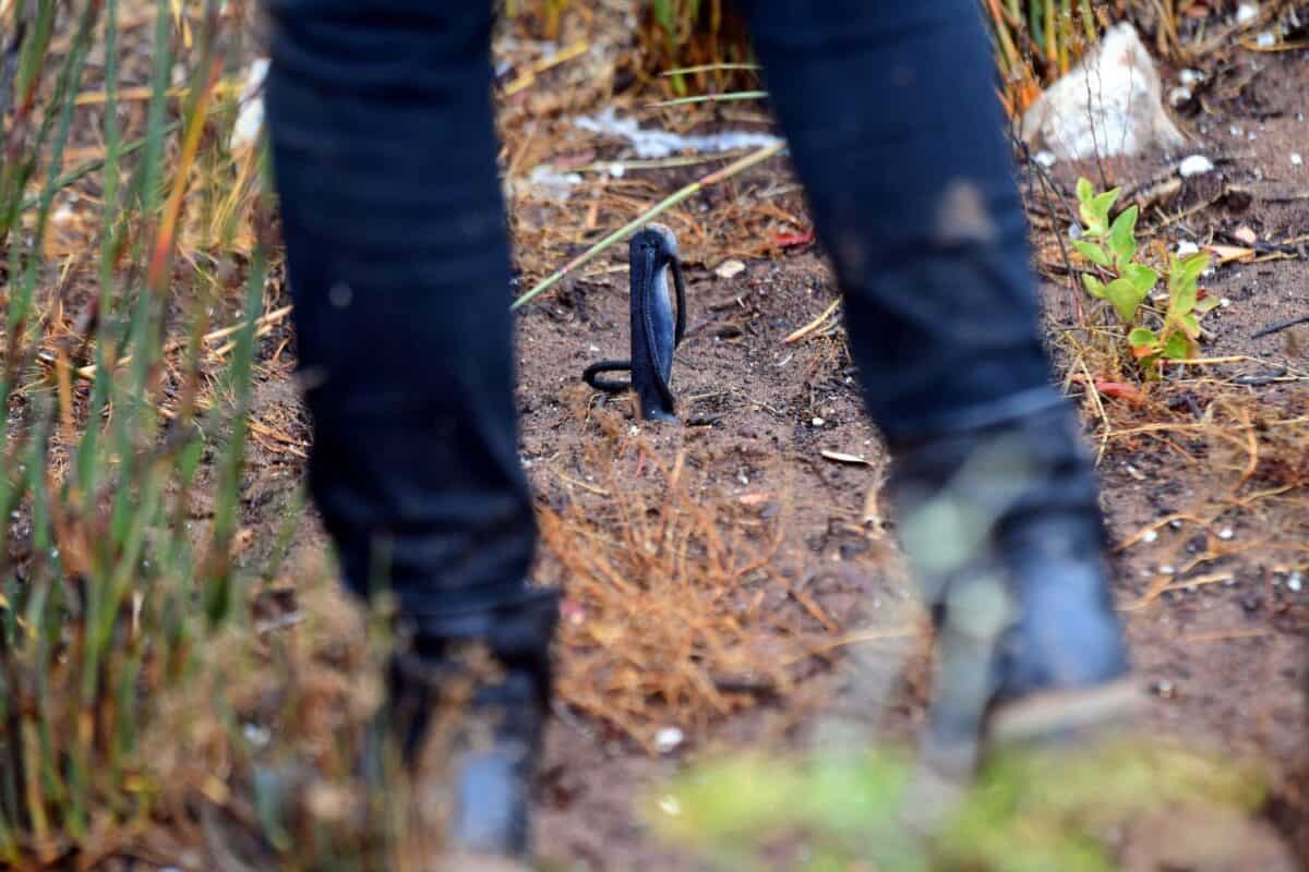 Polygraph tests and chilling confessions: 'Kelly would never sell ...