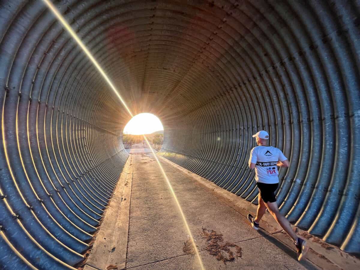 WATCH: Running on the wild side at Marakele Marathon