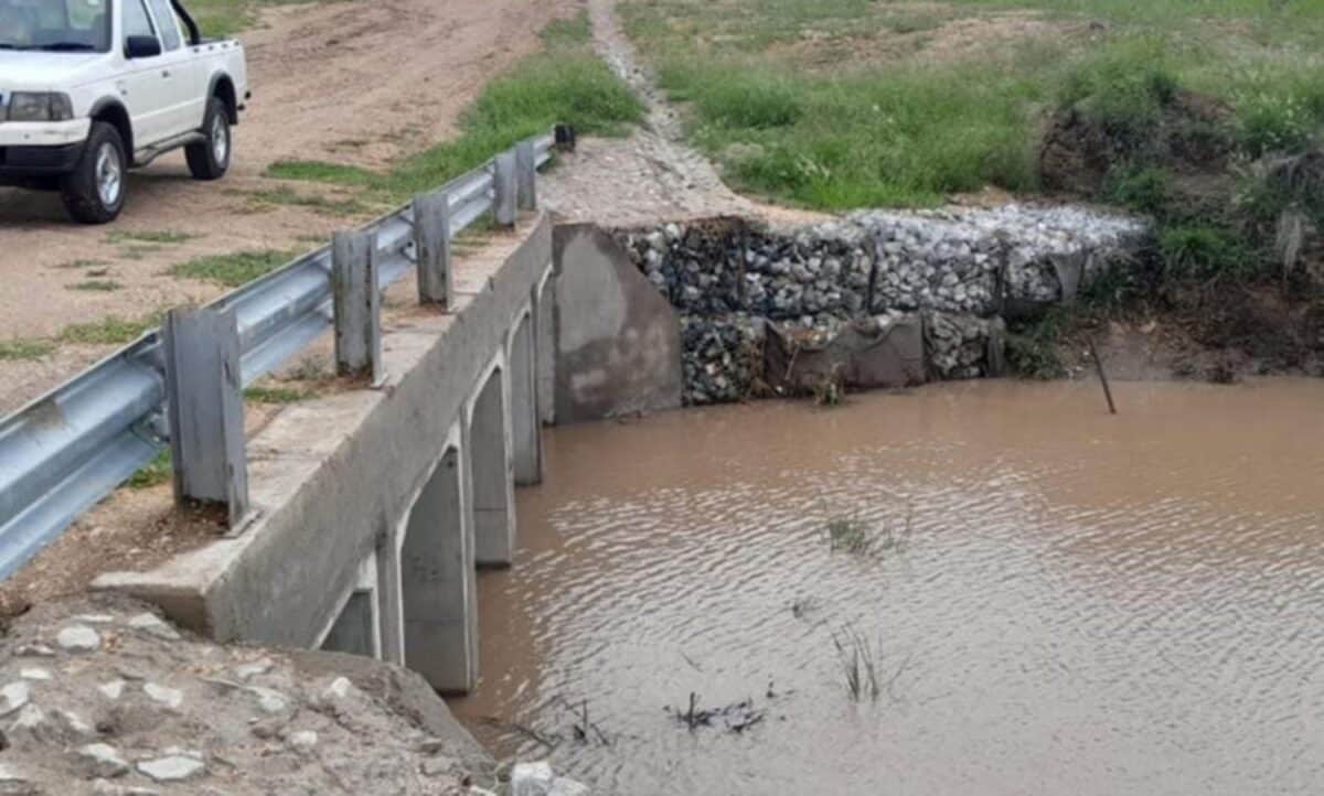Community Chat: Is this bridge worth R5m? | The Citizen