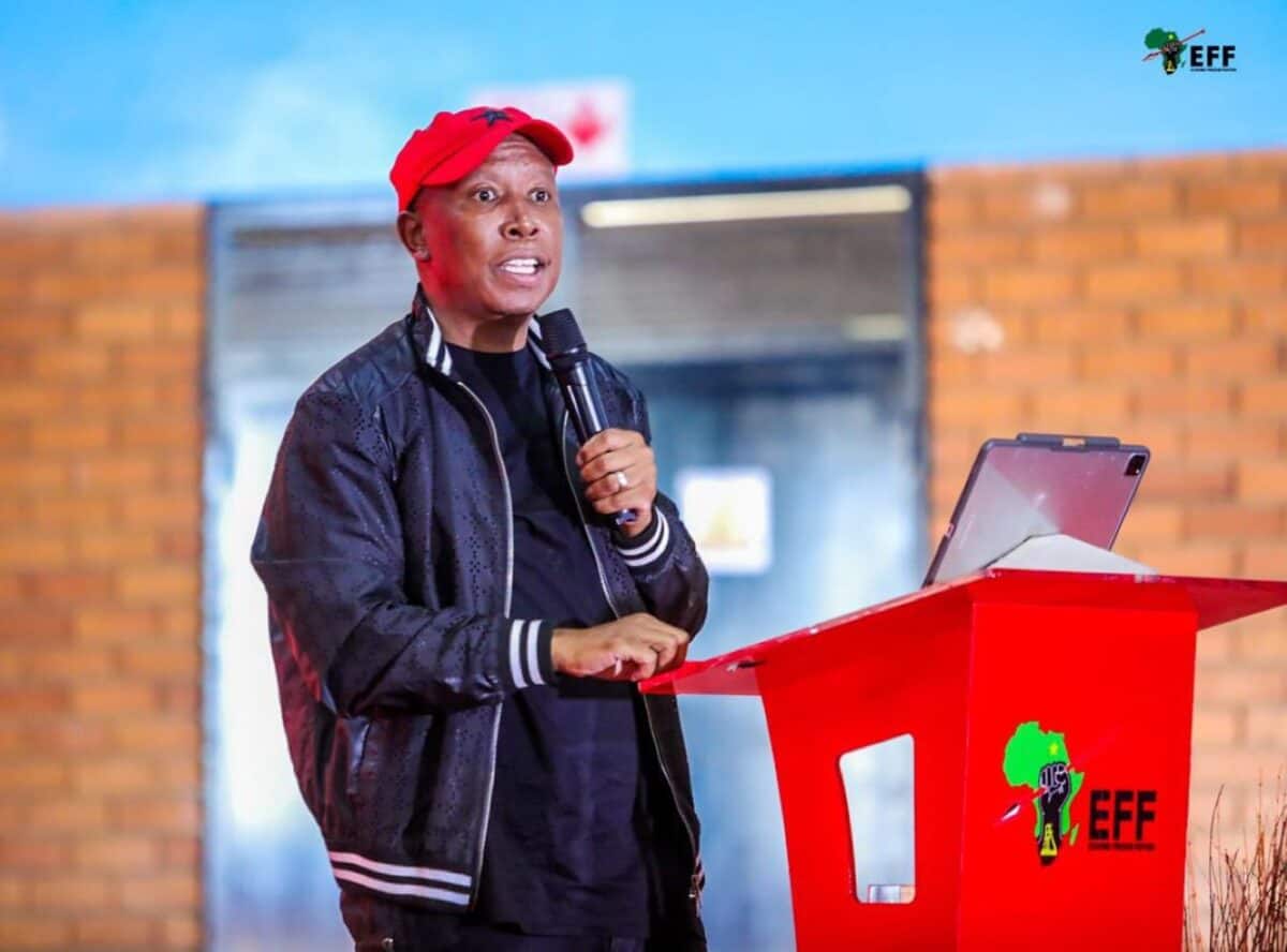 WATCH: Why Malema is willing to work with Zuma, but not Gayton | The ...