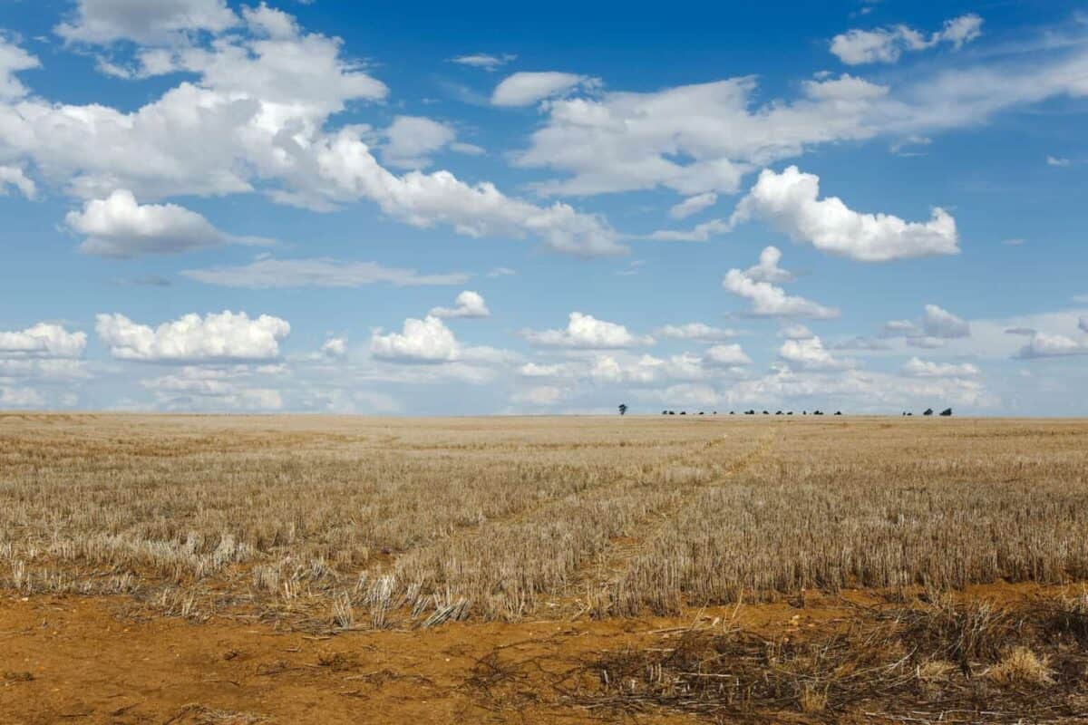 A land claim success story - Limpopo community's journey of resilience