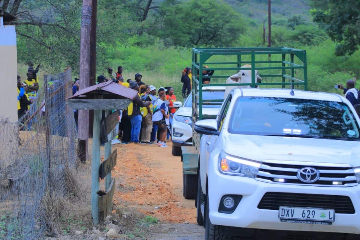 We know where our bread is buttered - Goedplass residents | The Citizen