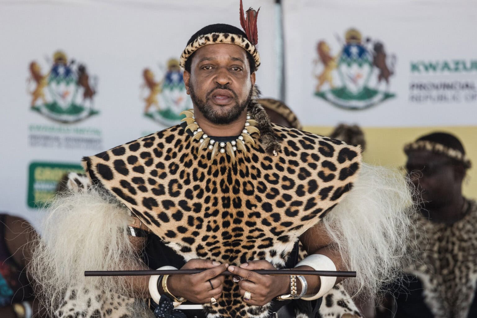 Thulasizwe Buthelezi: Who is the Zulu nation's new prime minister ...