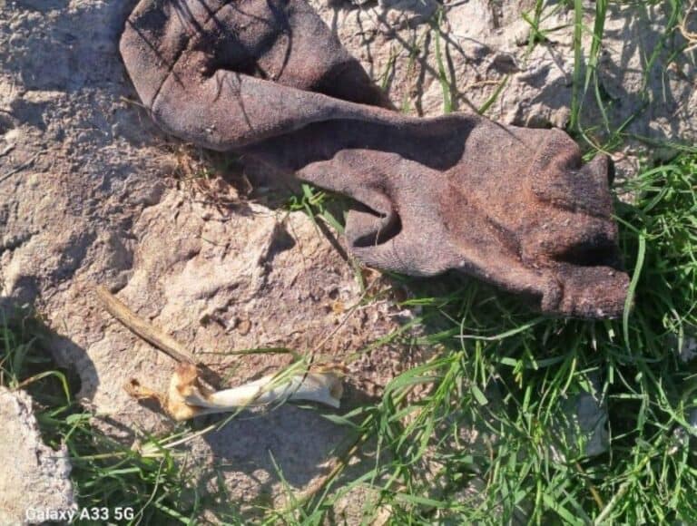 Joshlin Smith: Woman claims mom Kelly told her in jail where missing ...