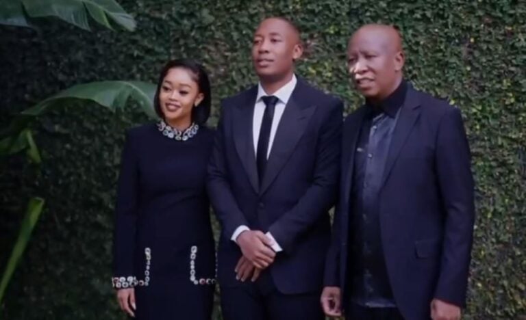 'A real dripper': Inside the lavish matric dance of Julius Malema's son ...