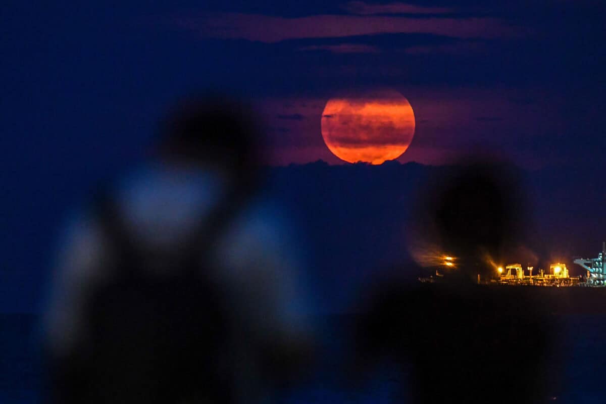 24 hours in pictures, 24 April 2024 | The Citizen