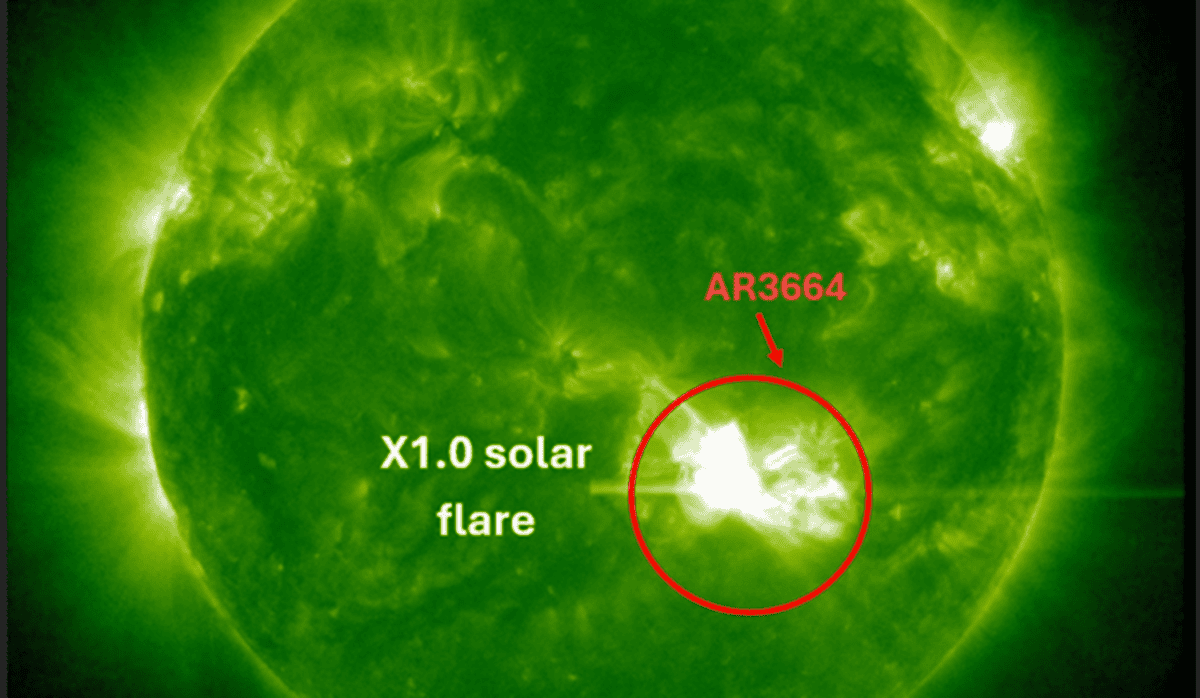 Solar storm could bring auroras, power and telecoms disruptions to Earth | The Citizen