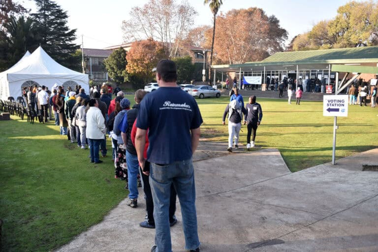 PICTURES: South Africans make their mark in general elections | The Citizen