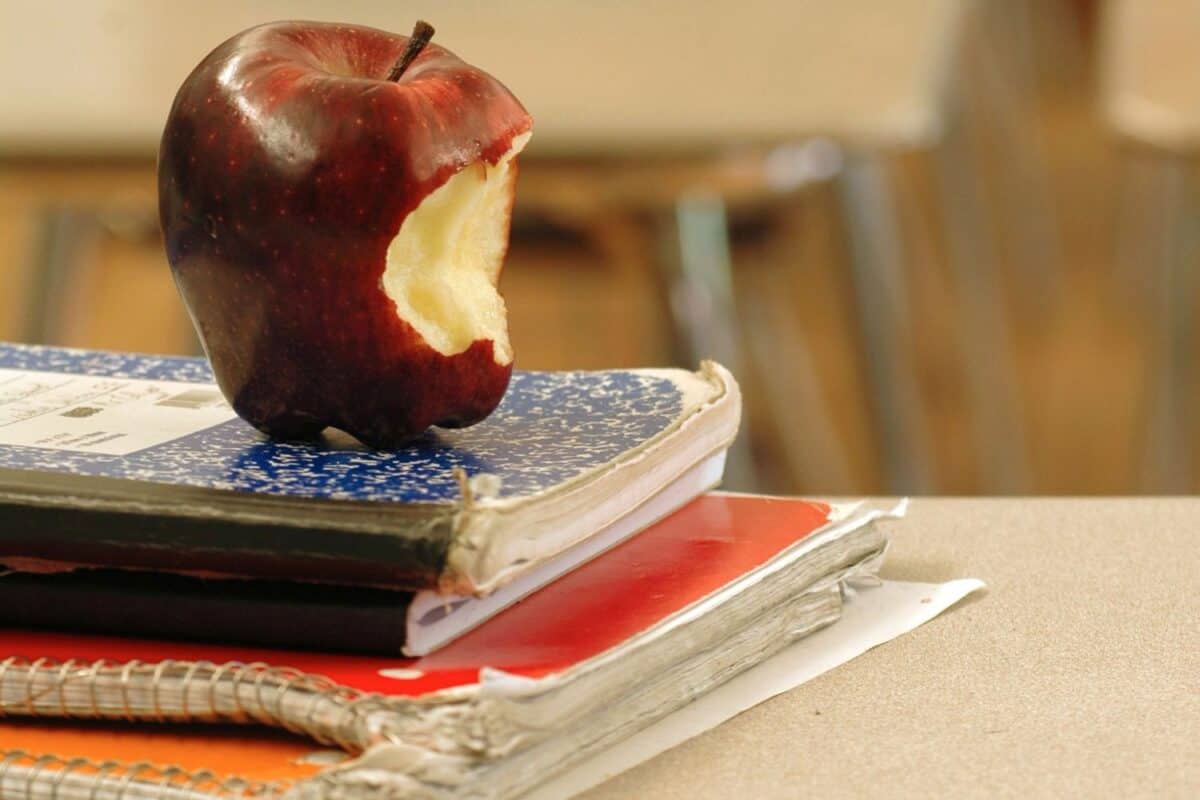 Illegal schools in Gauteng shut down: here's what could go wrong if you ...