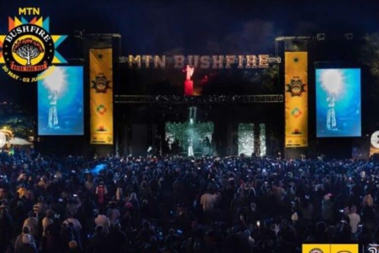 Bushfire festival: For the people by the people | The Citizen