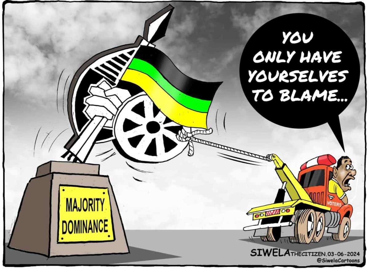 Cartoon of the day | The Citizen