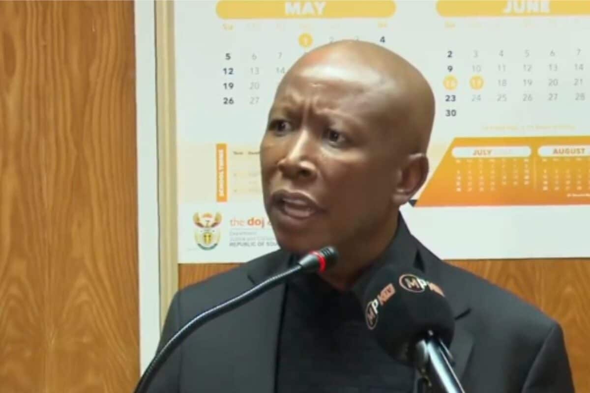 WATCH: Malema maintains innocence in firearm discharge case