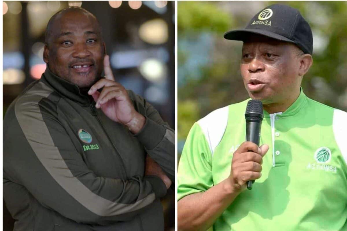 The DA’s two electoral nemeses are the PA and ActionSA | The Citizen