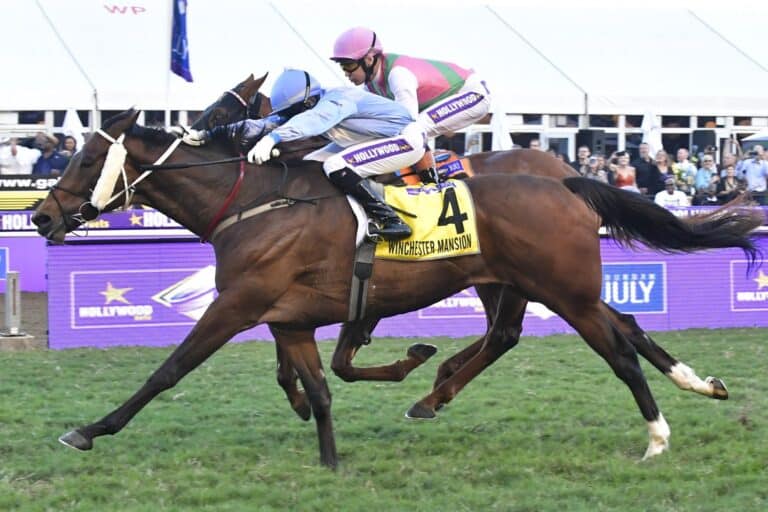 Weights unveiled for Hollywoodbets Durban July | The Citizen