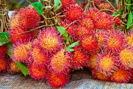 10 exotic fruits you should try and where to find them