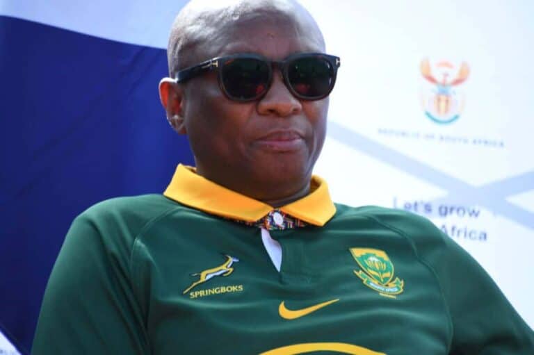 ANC confirms parliamentary comeback of 'Streetwise' Zizi Kodwa | The ...