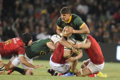 Springbok newbies give Rassie a selection headache - Moerat