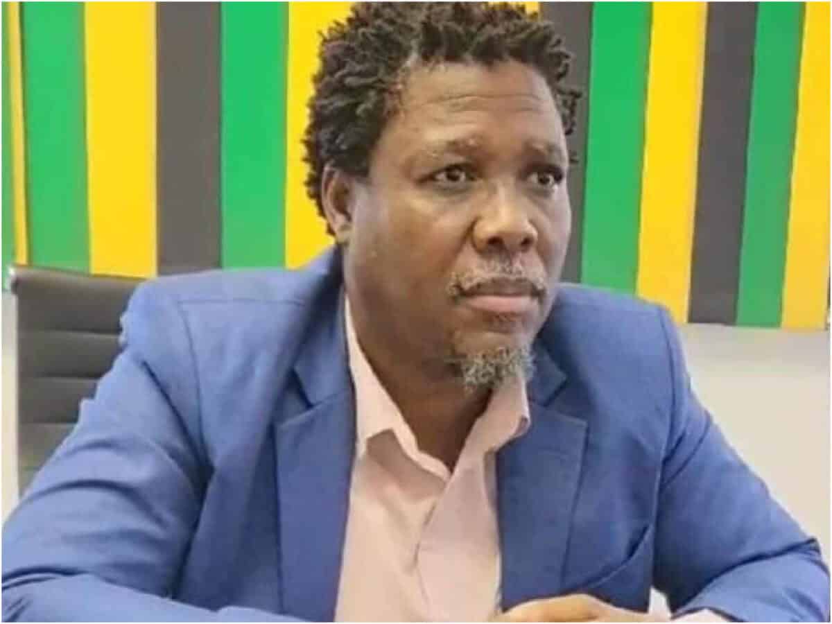 ‘Buffoon, moron’: Nehawu blasts ANC KZN's Bheki Mtolo | The Citizen